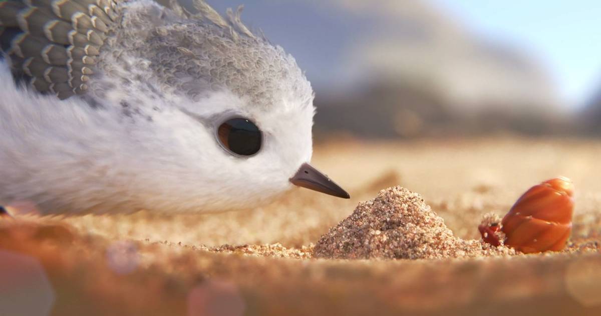 Animated short film in "Fargo" | visitplovdiv.com